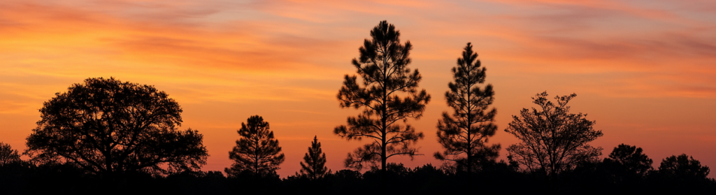 HOW TO: Stick Your Neighbor | EarlsHelpDesk.com